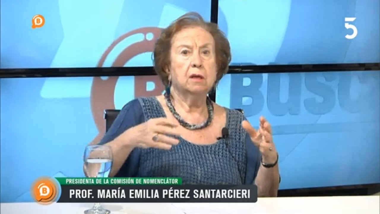 María Emilia Pérez Santarcieri - Profofesora y Asesora de la In ...