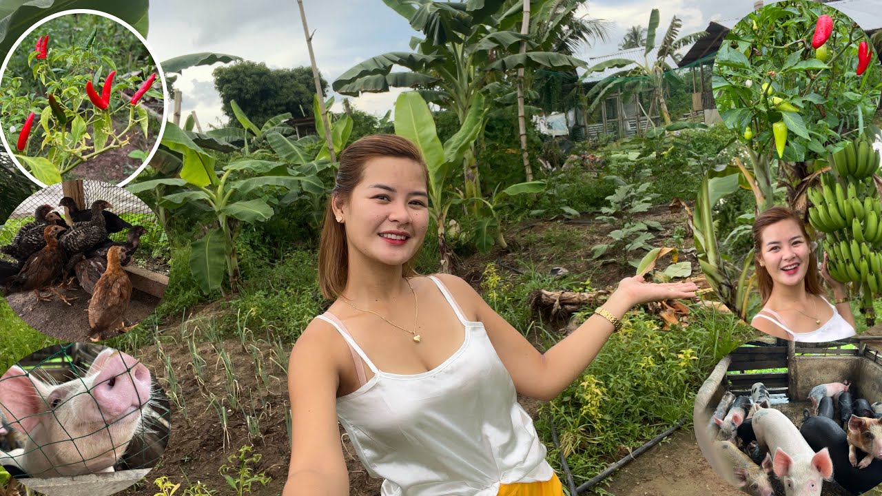 Ipasyal ko kayo sa buong Farm ko ☺️ Thessalonica Farm Tour 2022 ️ - YouTube