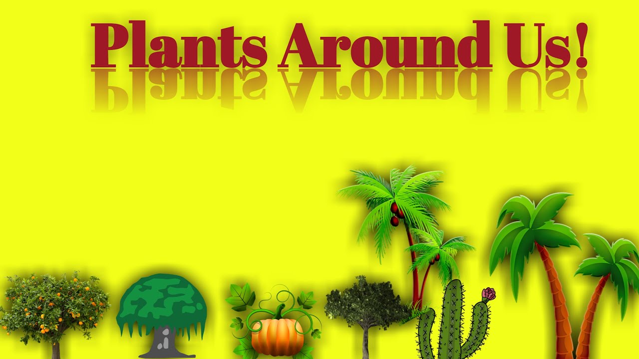 Plants around Us Lesson with Fun for Kids - YouTube