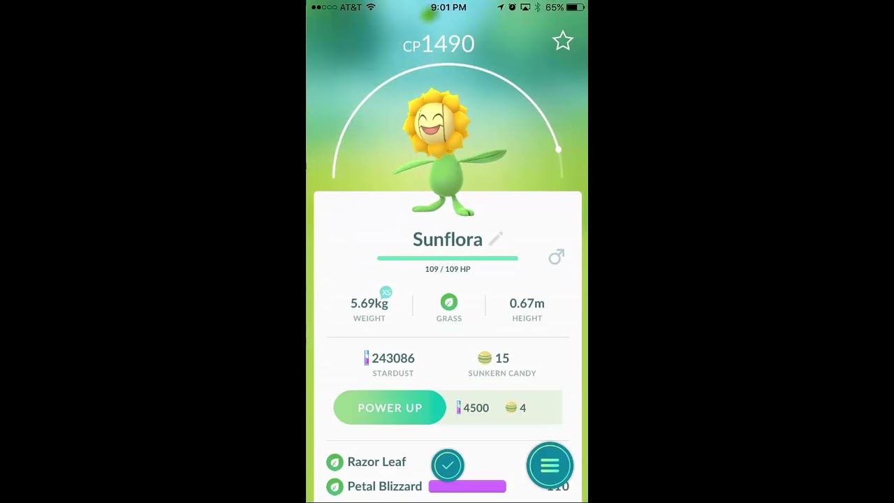 Pokemon GO - evolving Sunkern into Sunflora - YouTube