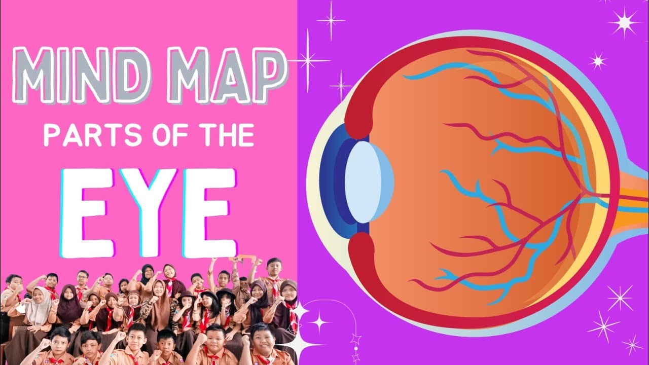 Mind mapping MATA kelas 5 #mata #mindmap - YouTube