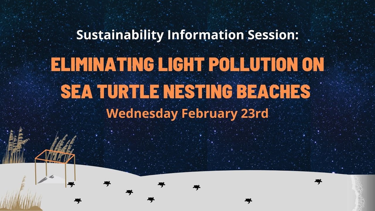 Information Session: Sea Turtle Lighting - YouTube