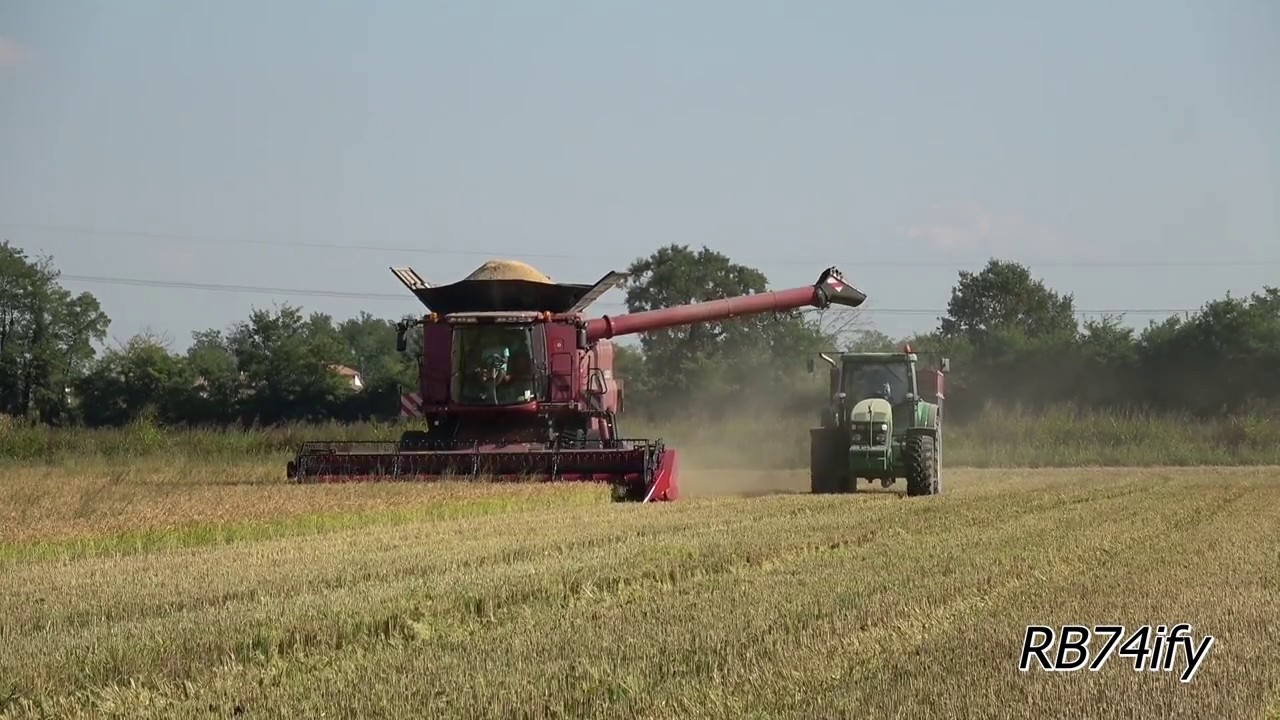 2017 RICE HARVEST - CASE IH 8240 Axial-Flow RICE on Rubber Tracks ...
