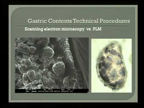 Trace Evidence 2011 : Case Studies : Bill Schneck - YouTube