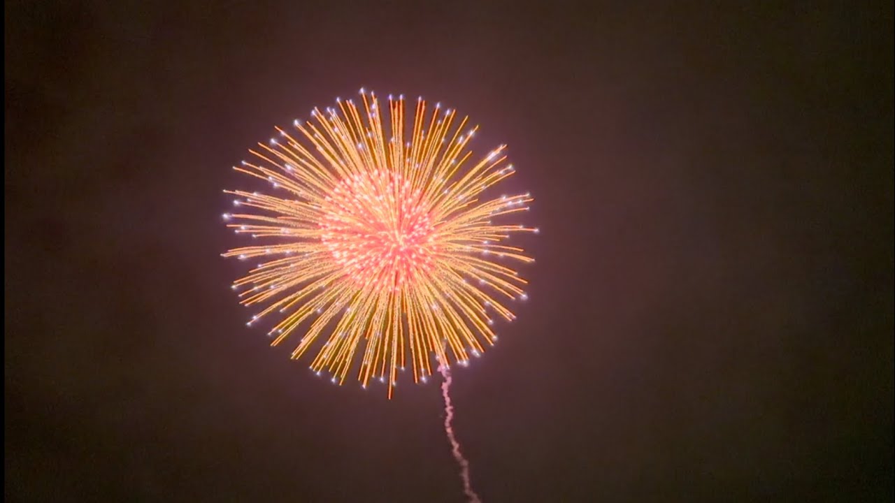 Display Shell 10 inch competition at PGI 2024 🥥💣💣 HUGE AND MOST ...