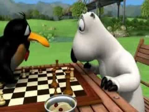 Jugando Ajedrez con el oso Berni - YouTube