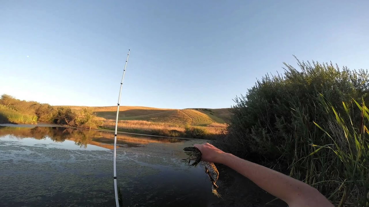 Bass fishing gone wrong - YouTube