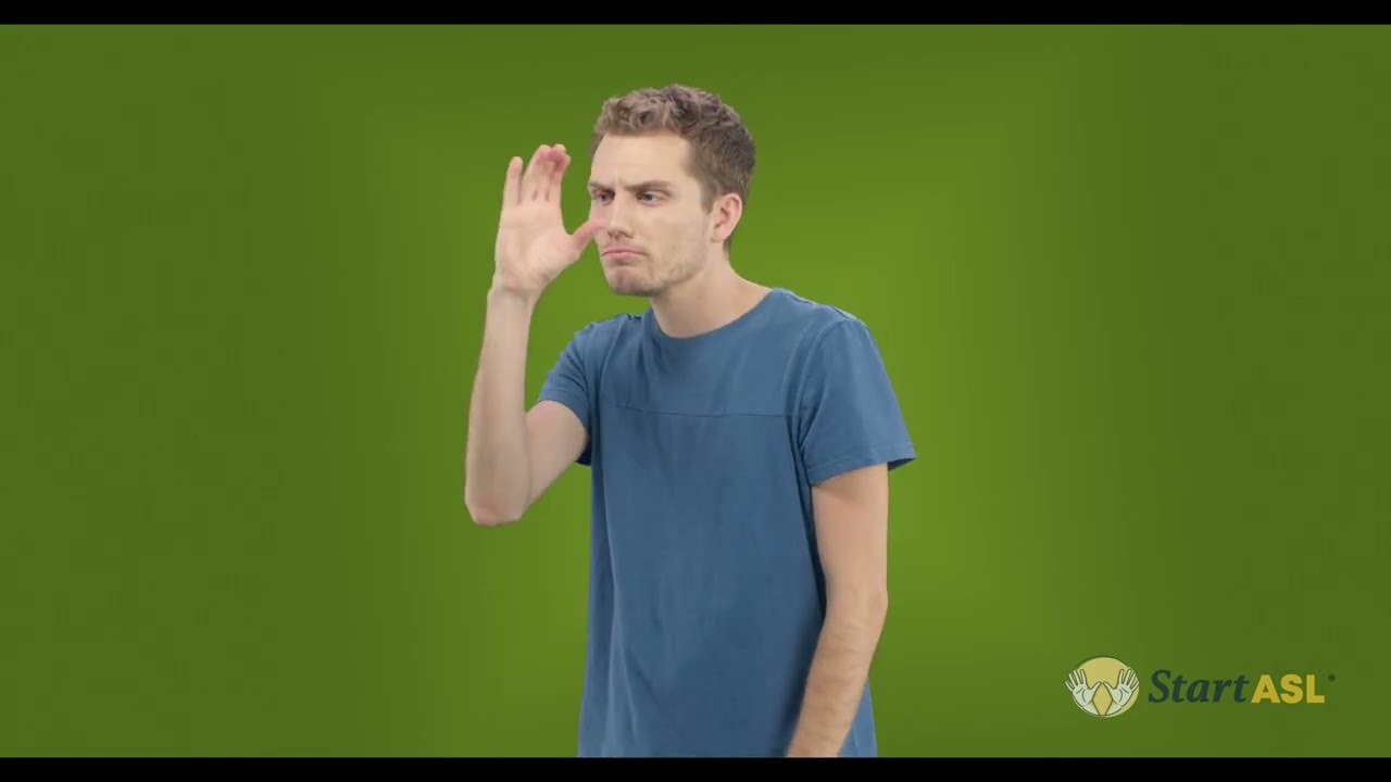 Seeking Sign Language Real Time Sign Language Detection: Empowering