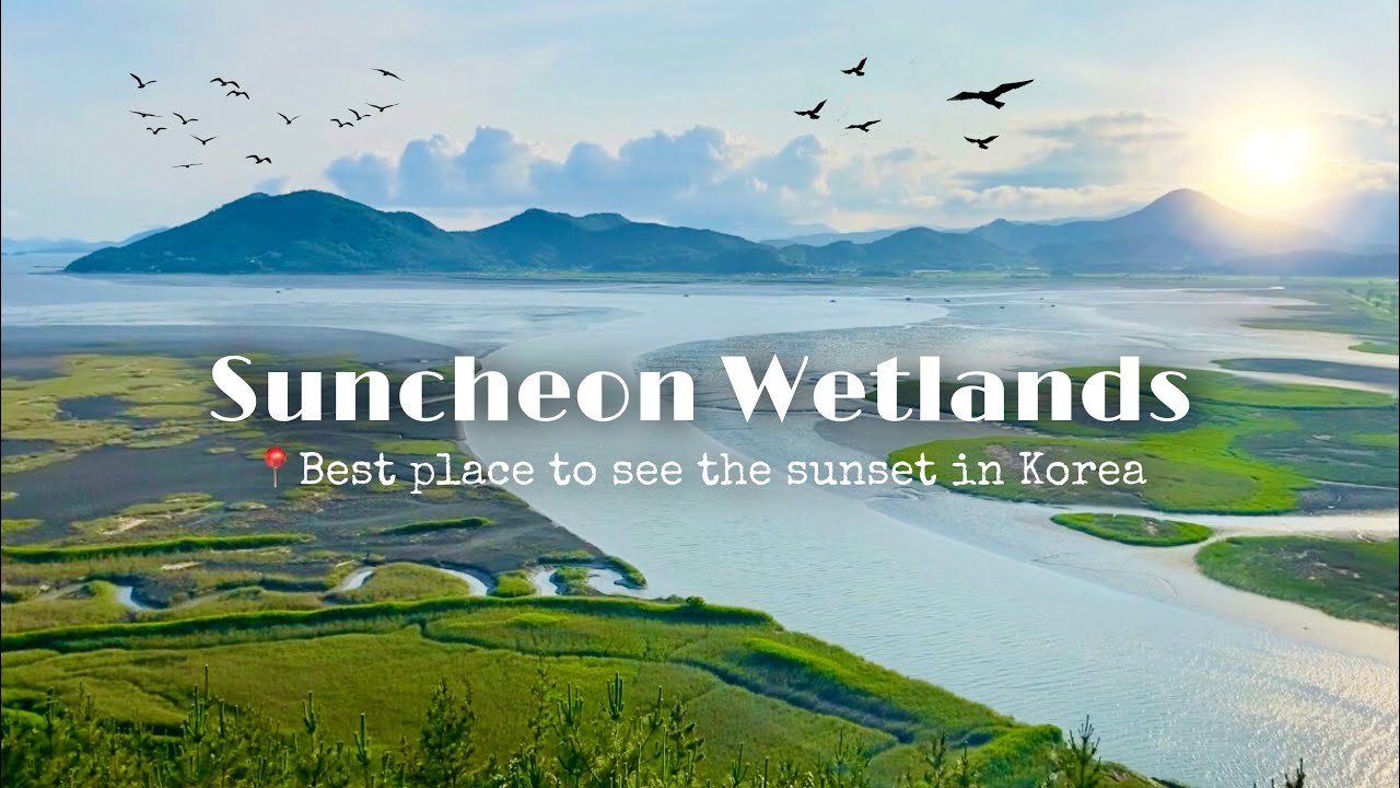 Travel in Korea 🇰🇷 | Korea's Best Place to See Sunset | Suncheon ...