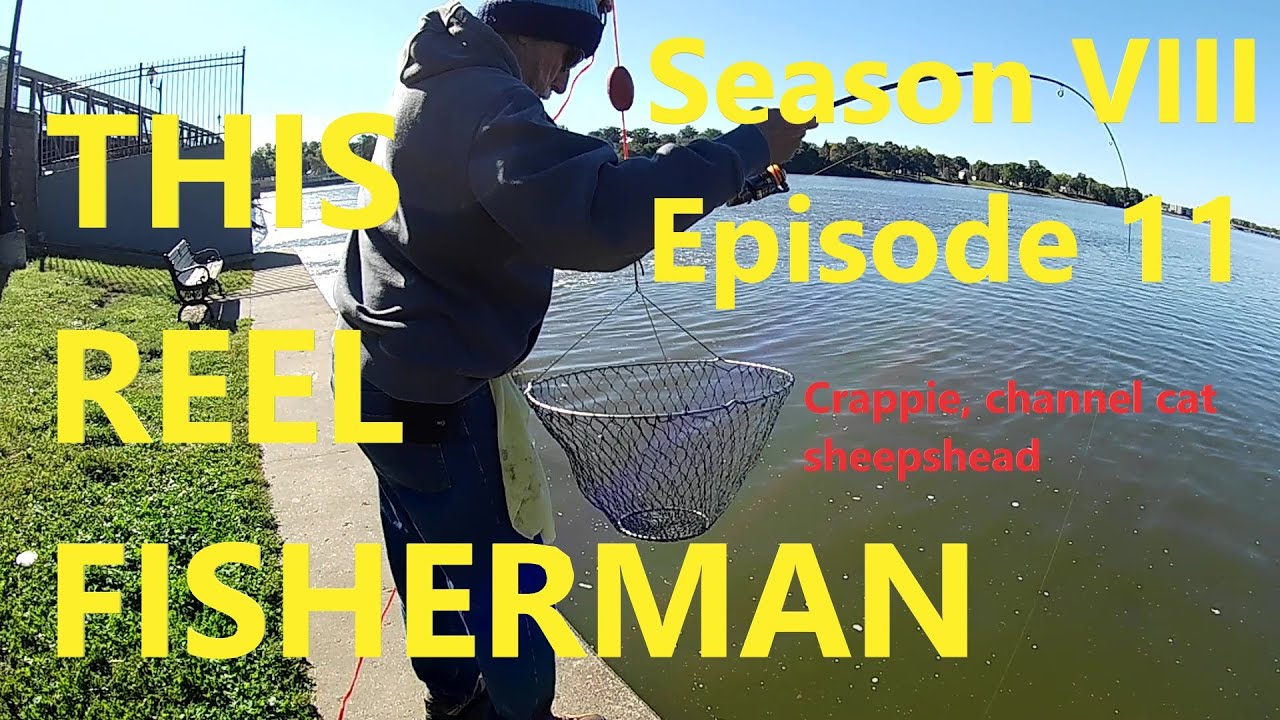 Multi Species, Pier Net & More, Mississippi River Pool 12,13,14 (#video ...