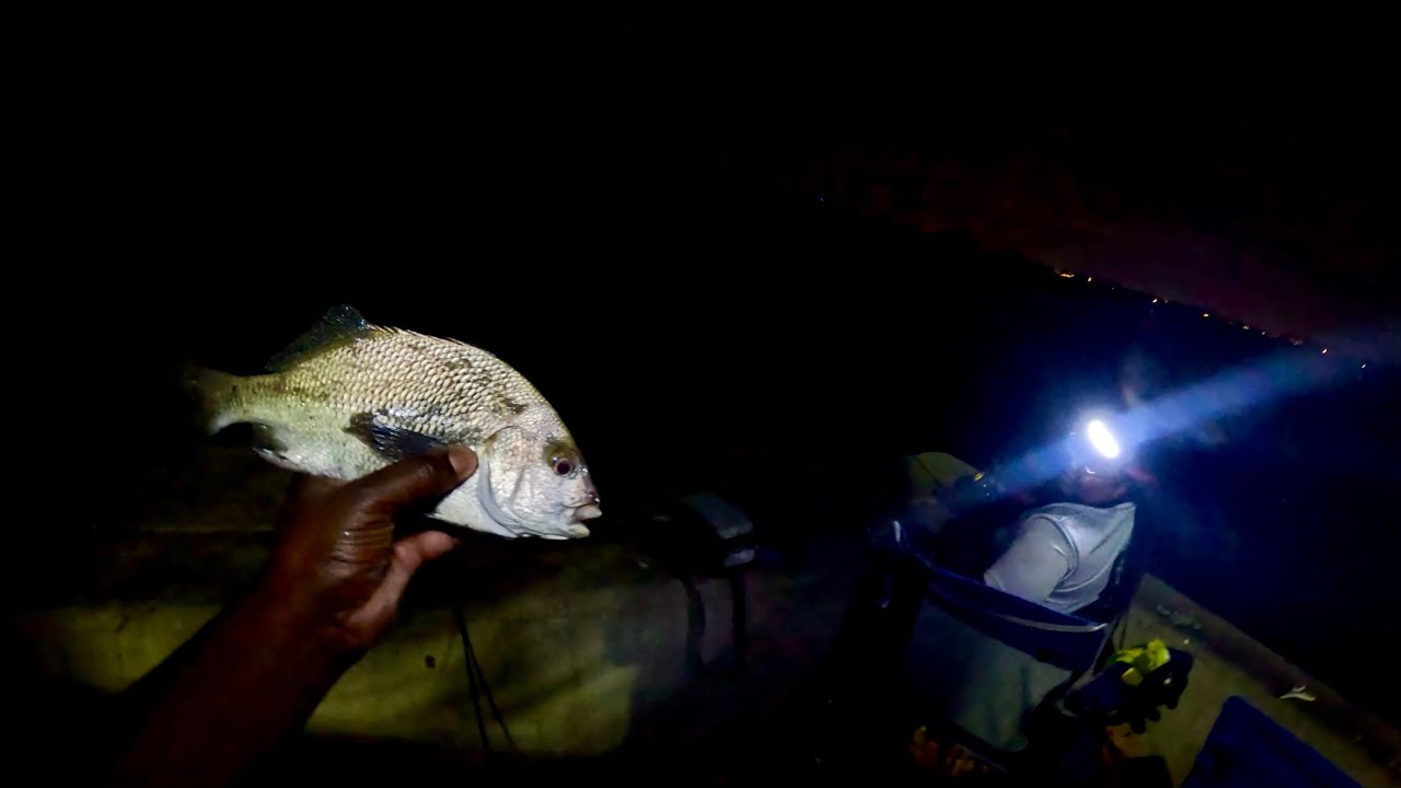 Dock Talks: Epic Night Fishing! Lost 3 Big Fish & Landed A Nice One At Boynton Beach Inlet - YouTube