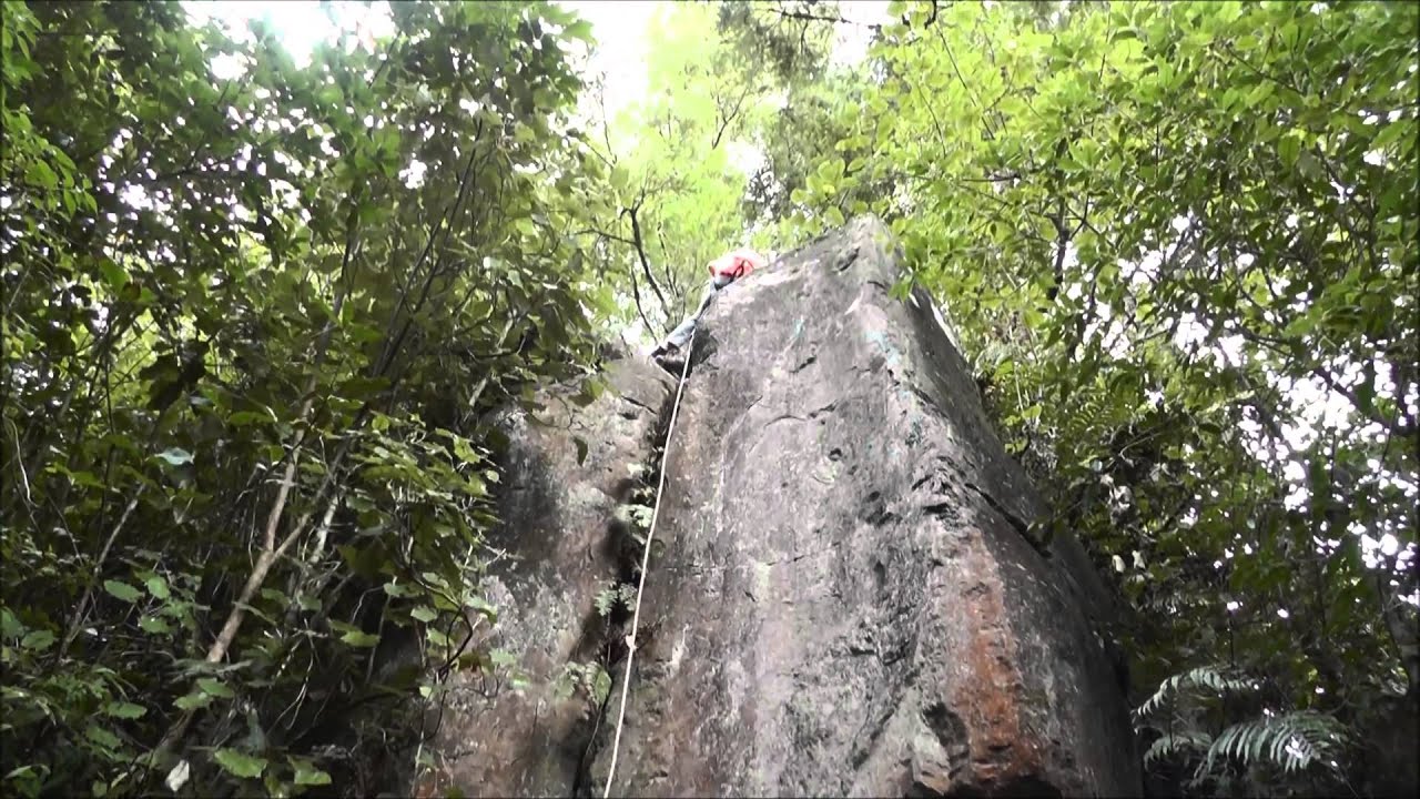 Hilltop School Room 14 Camp at Pureora Forest March 2014 - YouTube