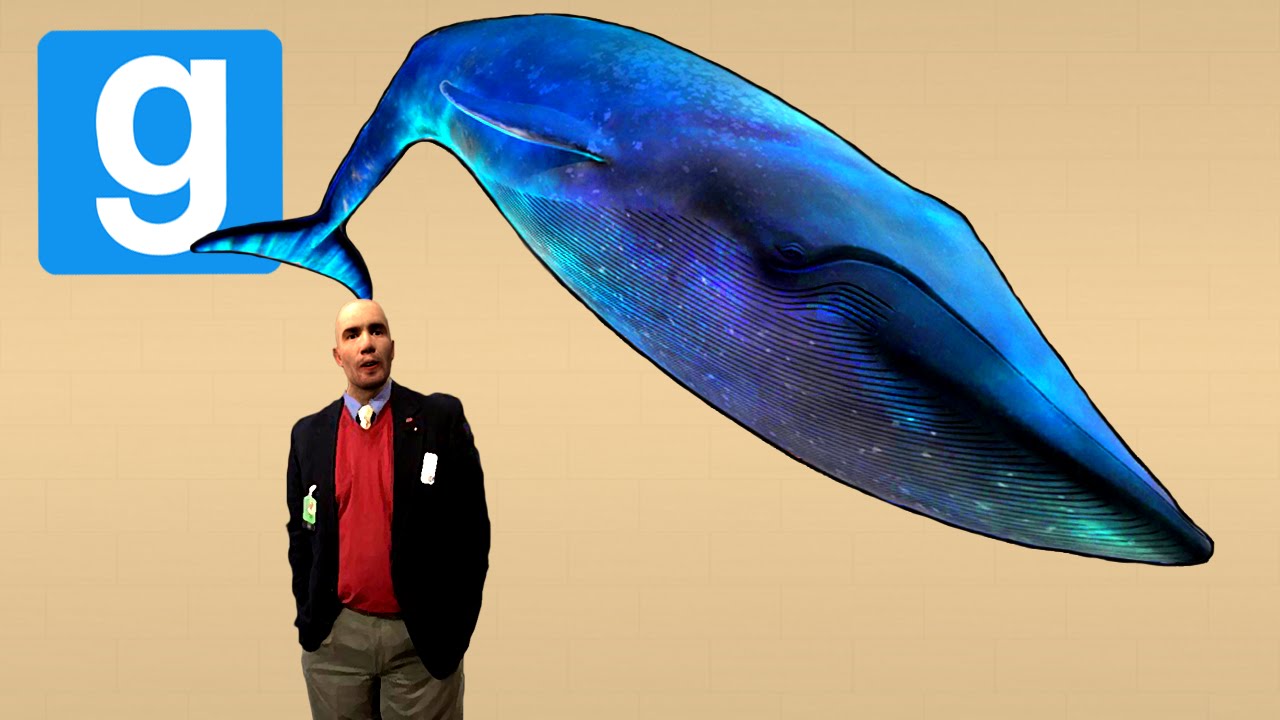 Night at the Museum of Natural Stuff [Gmod RolePlay] w/ Adam, Sark ...