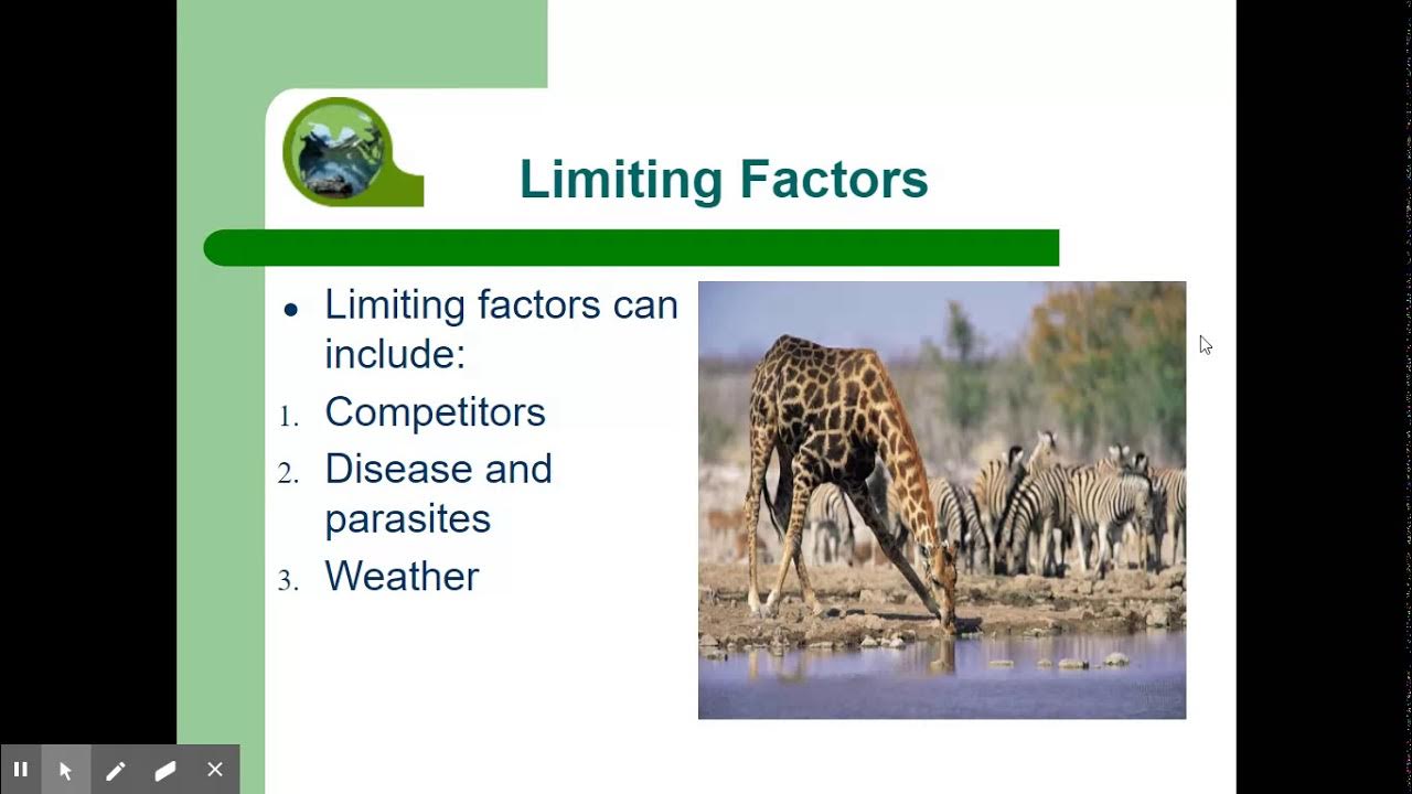 Limiting Factors powerpoint - YouTube