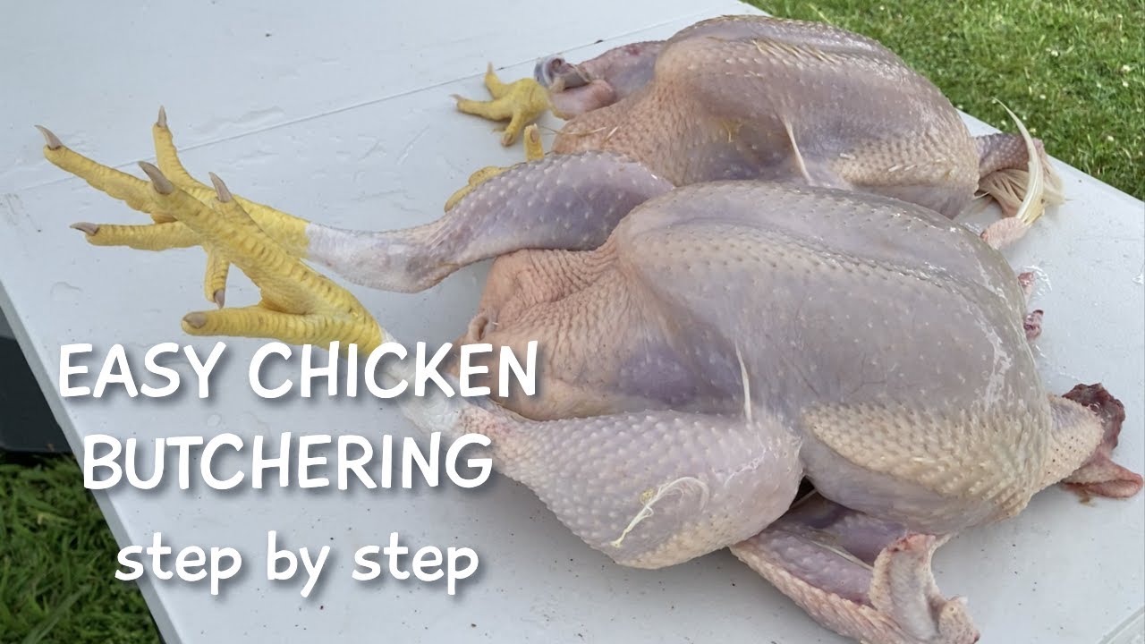 Pastured Poultry Processing- EASY chicken BUTCHERING & STORAGE - YouTube