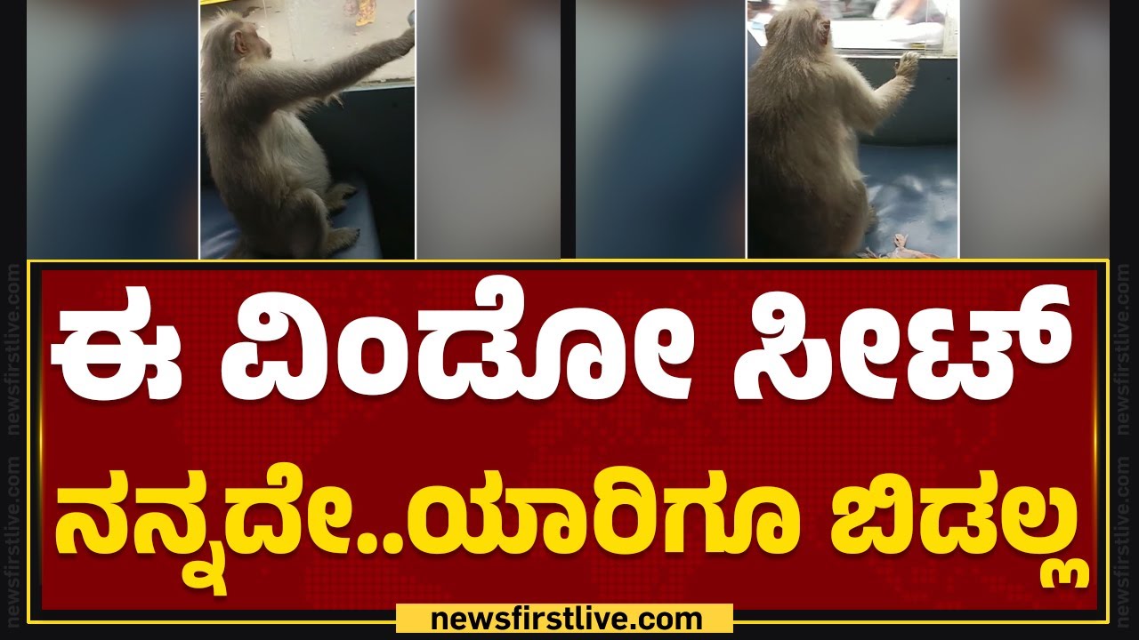 Monkey Incident : ಈ ವಿಂಡೋ ಸೀಟ್ ನನ್ನದೇ ಯಾರಿಗೂ ಬಿಡಲ್ಲ | Haveri ...