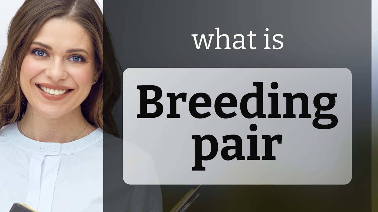 Understanding "Breeding Pair": An English Learning Guide - YouTube
