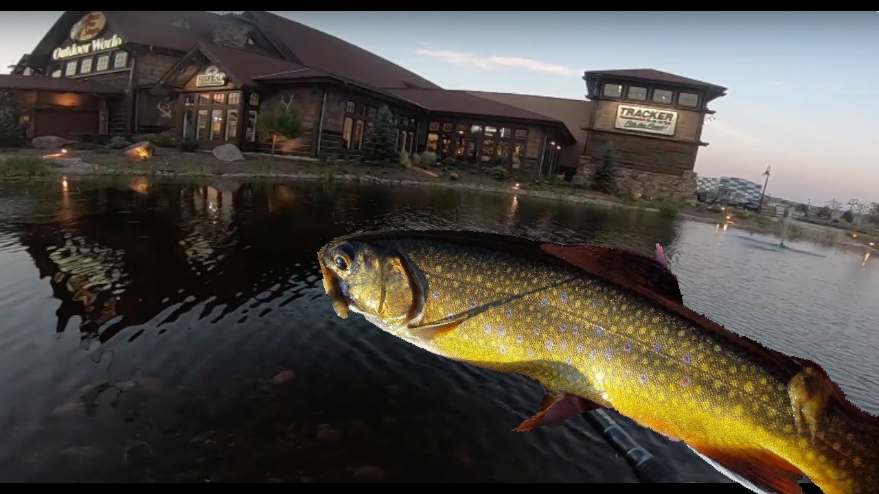 Catching TROUT in Bass Pro Pond! - YouTube