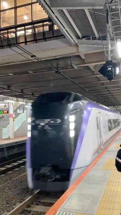 JR East E353 Series - Passing Nishi-Kokubunji Stn EB (Limited Express ...