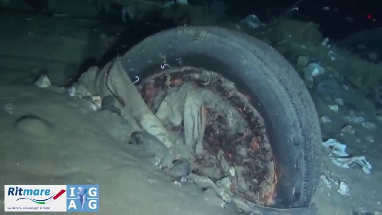 Massive benthic litter funnelled to deep sea by flash-flood generated ...