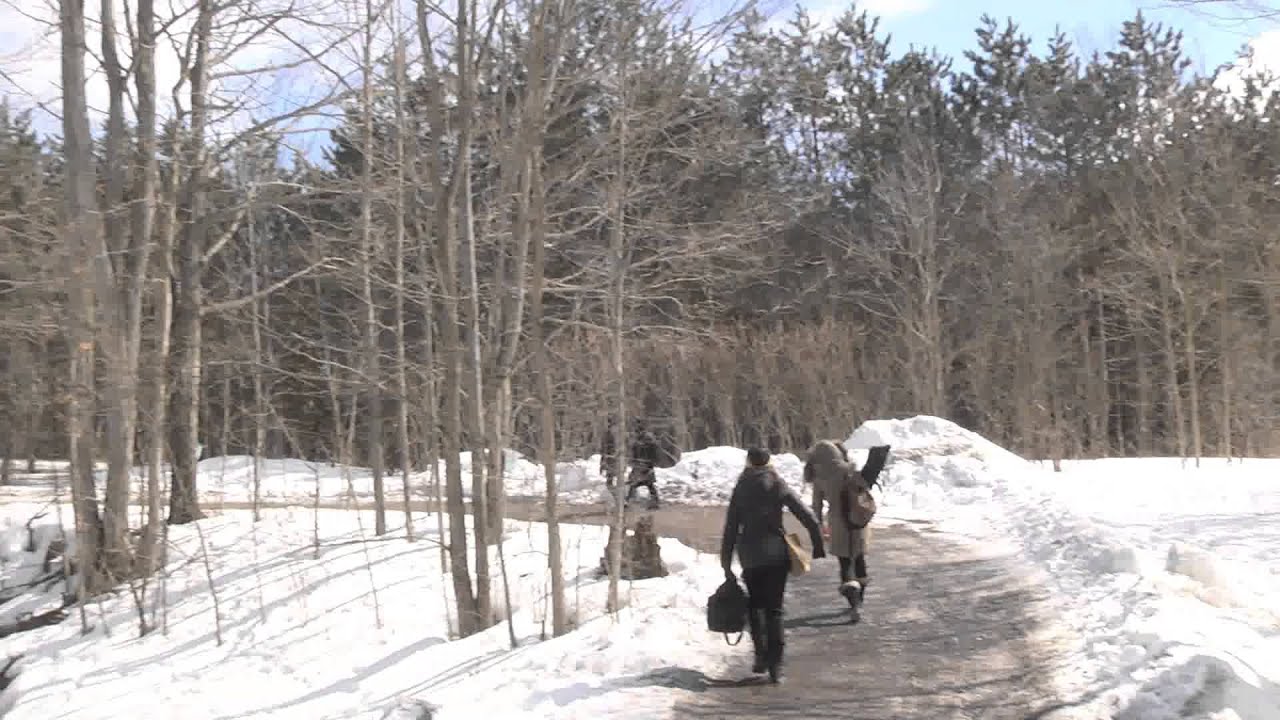 Kingston Life: Maple Madness - YouTube