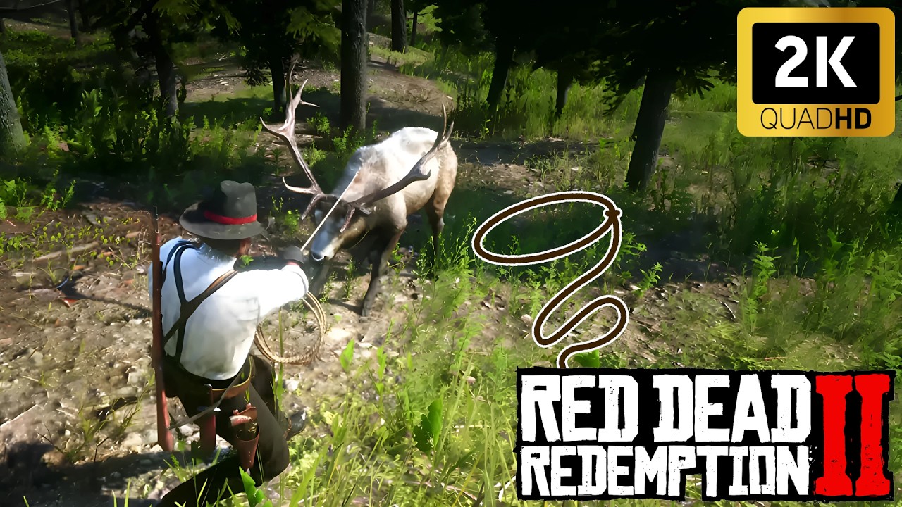 Hunting Bear & Hunter Encounter + Thief Event RDR2 (Hidden Stranger ...