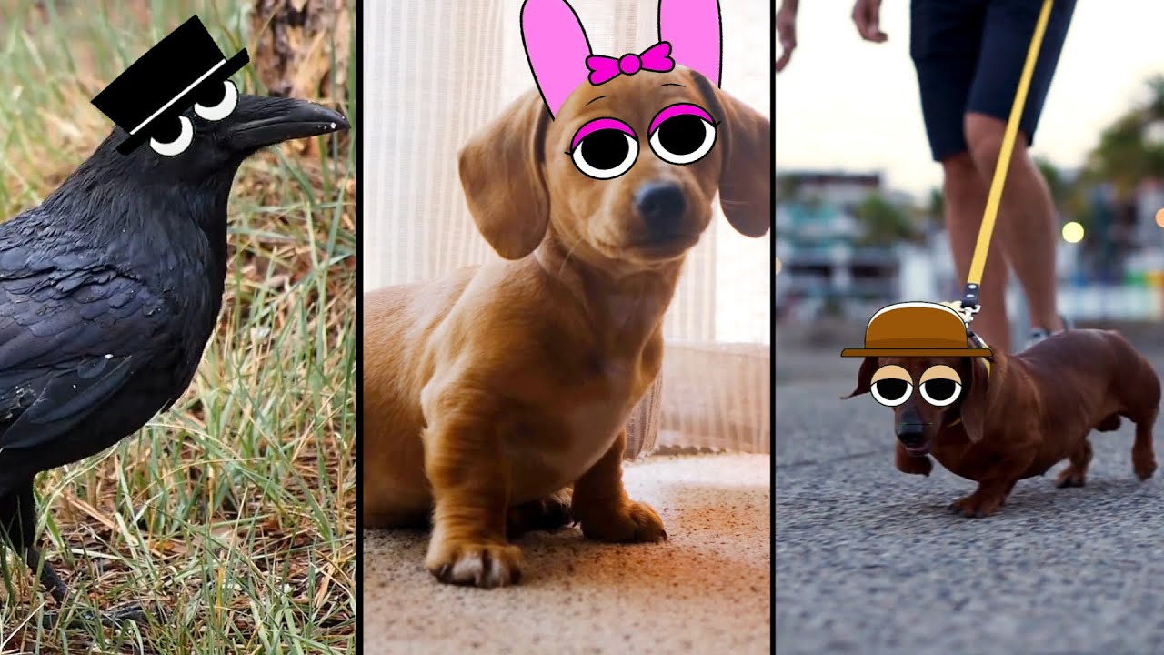 Talking animals Sprunki And Objects - animals | Doodle Sprunki - YouTube