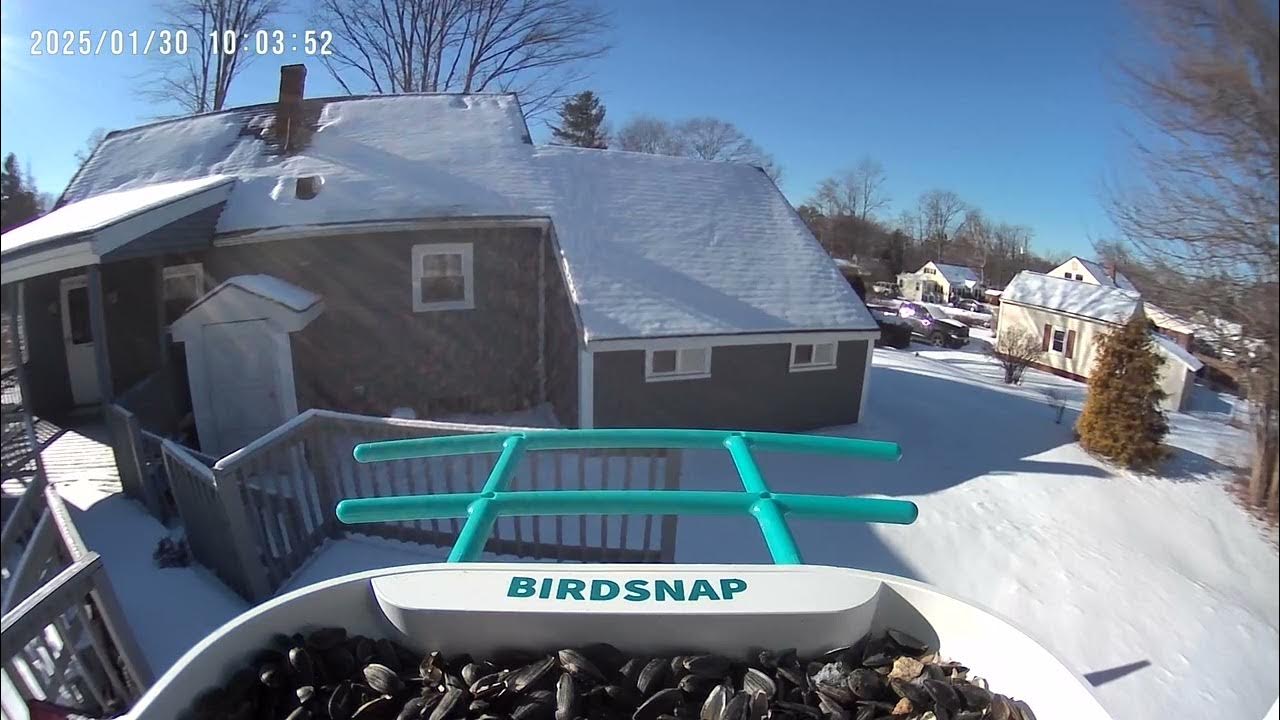 whole lot of shaking going on - YouTube