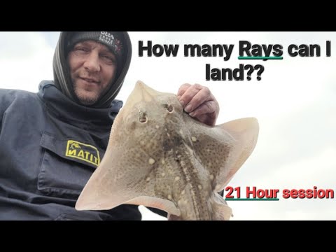 Ray Hunt🎣🎣21 hour session/How many Rays can I Land - YouTube