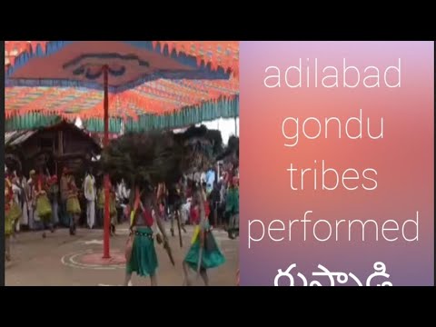adilabad gondu tribes performed "gussadi"dance#video2023 - YouTube
