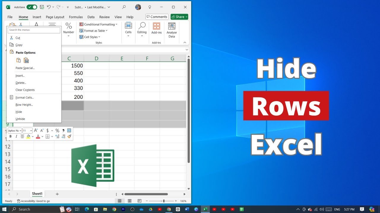How to Hide Rows on Microsoft Excel - YouTube