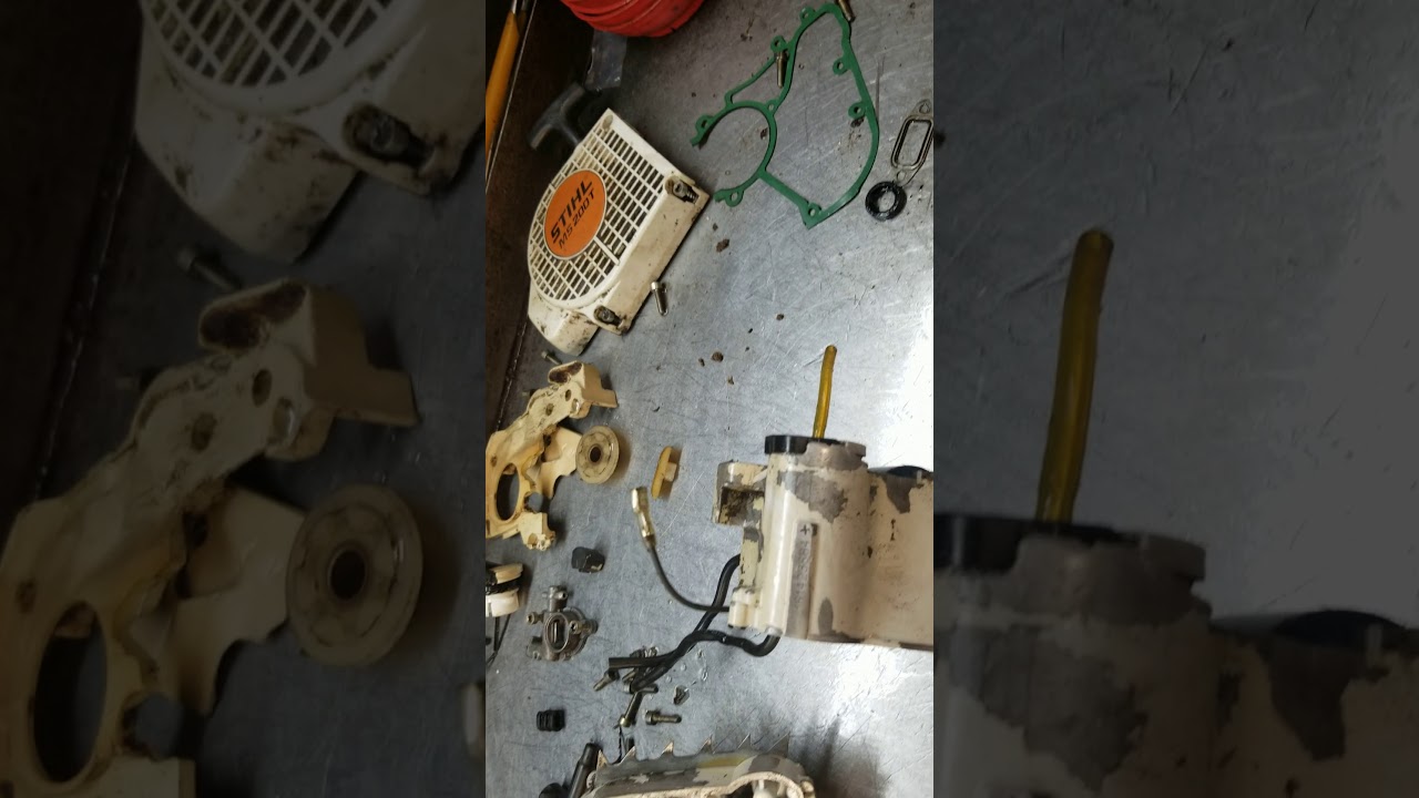 West Coast Muscle Saws Stihl serial numbers - YouTube