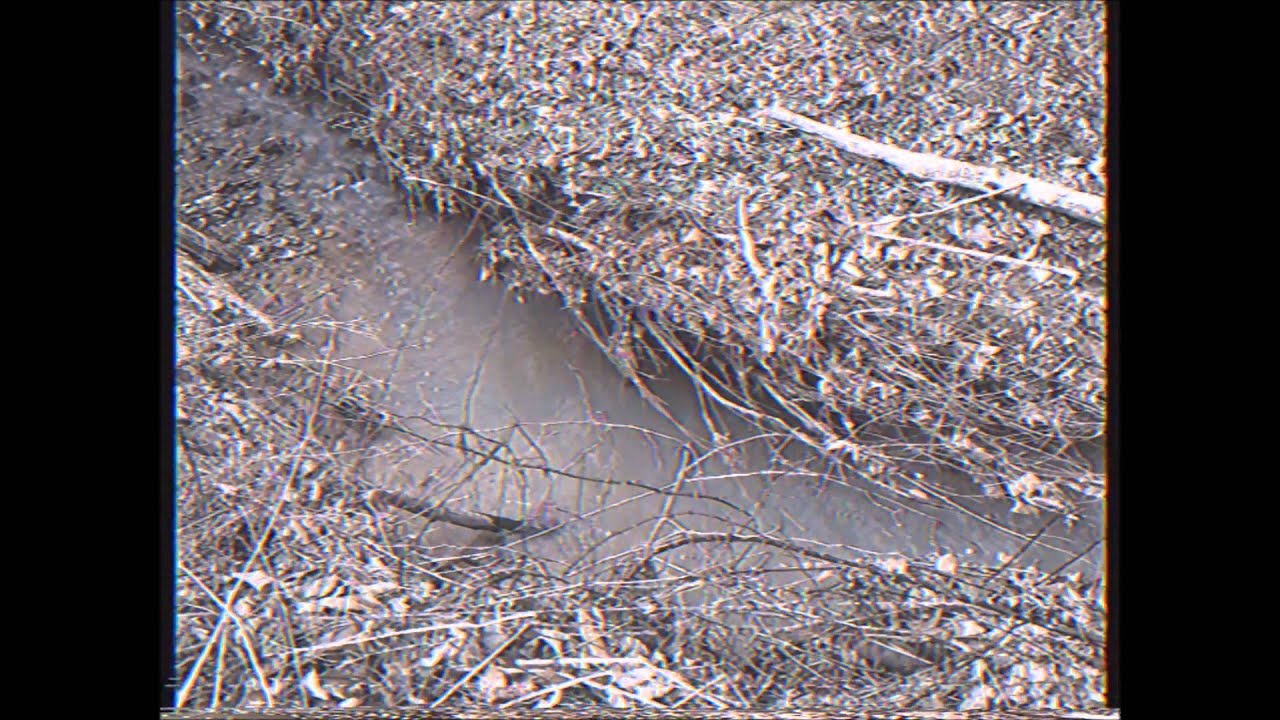 THE RITUAL OF CHUD by UNBALANCED LOAD - YouTube