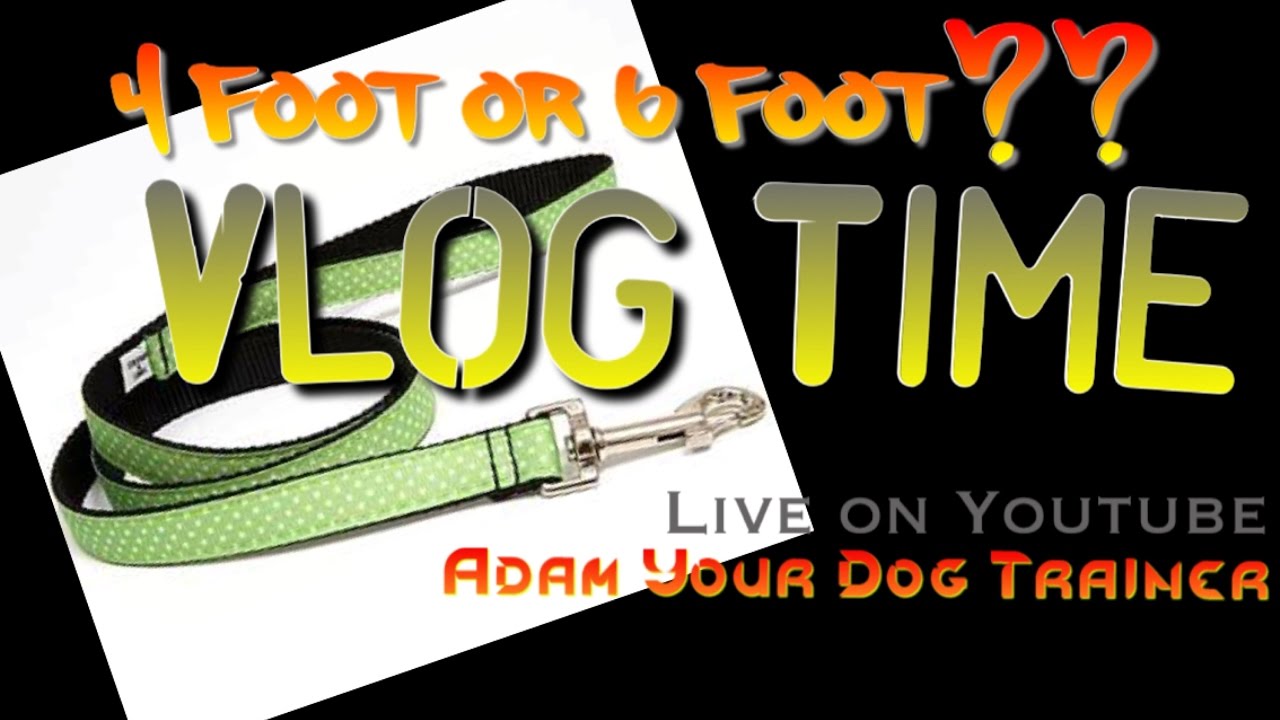 4 FOOT VS 6 FOOT LEASH YouTube 4-foot-vs-6-foot-leash-youtube