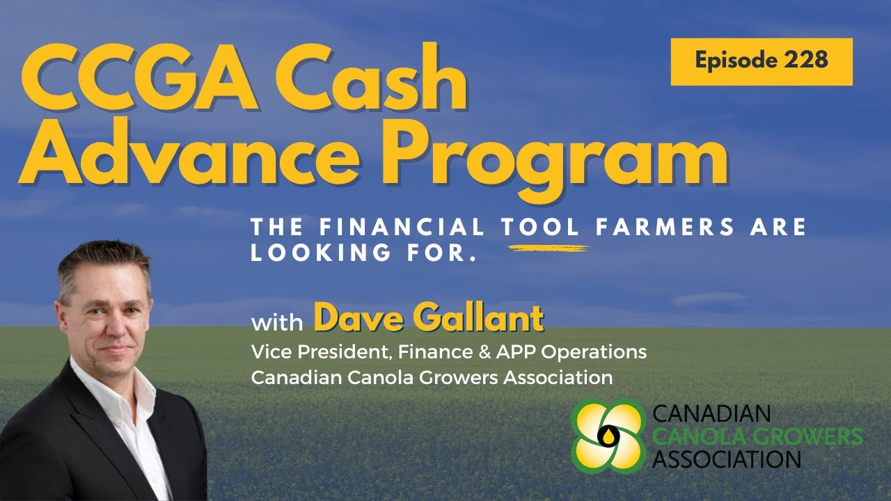 Episode 228: CCGA Cash Advance Program: The Financial Tool Farmers Are ...
