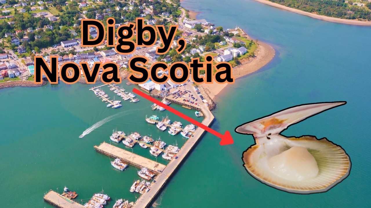 Pirates To Scallops: The Fascinating History of Digby, Nova Scotia ...