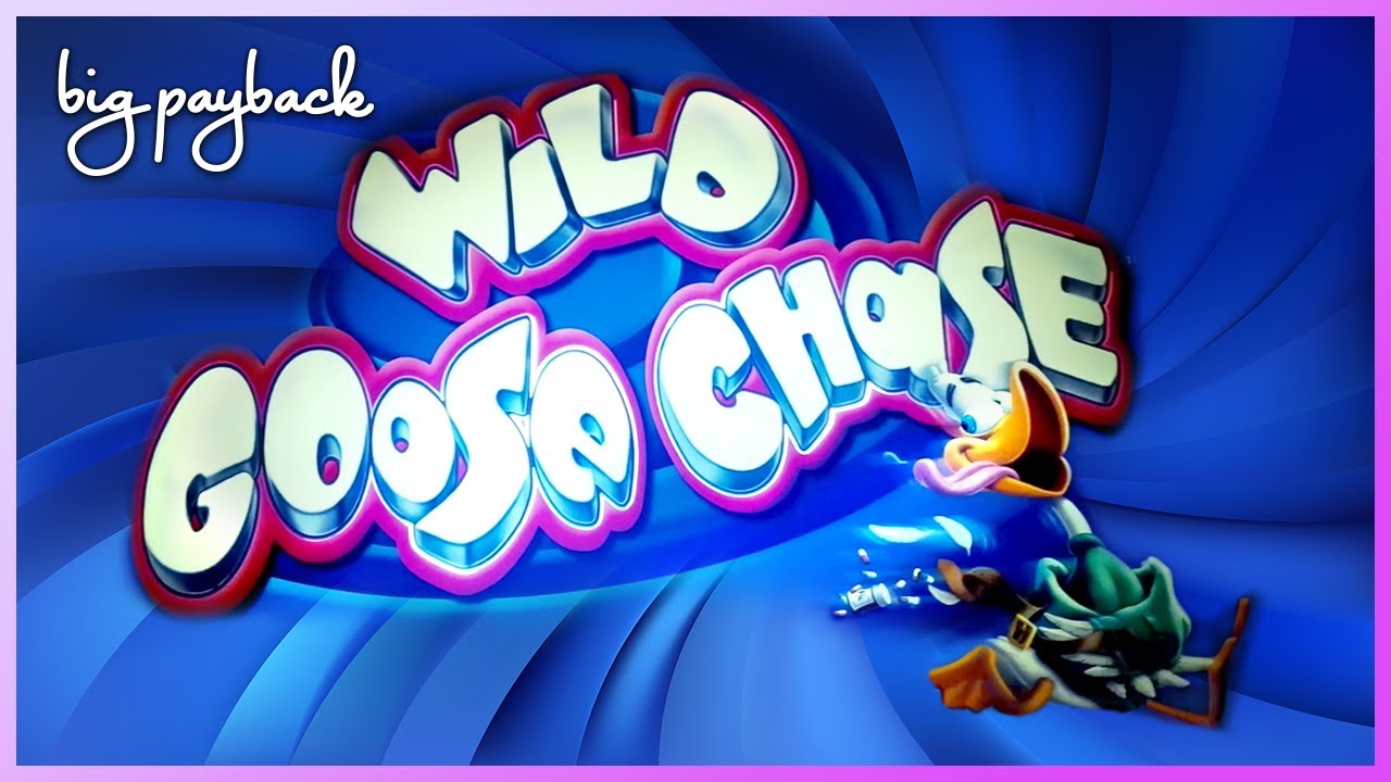 Wild Goose Chase Slot - HILARIOUS RETRO ACTION! - YouTube