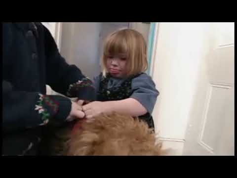 Teletubbies TV Our Dog Alice Date 5 May 1998 - YouTube