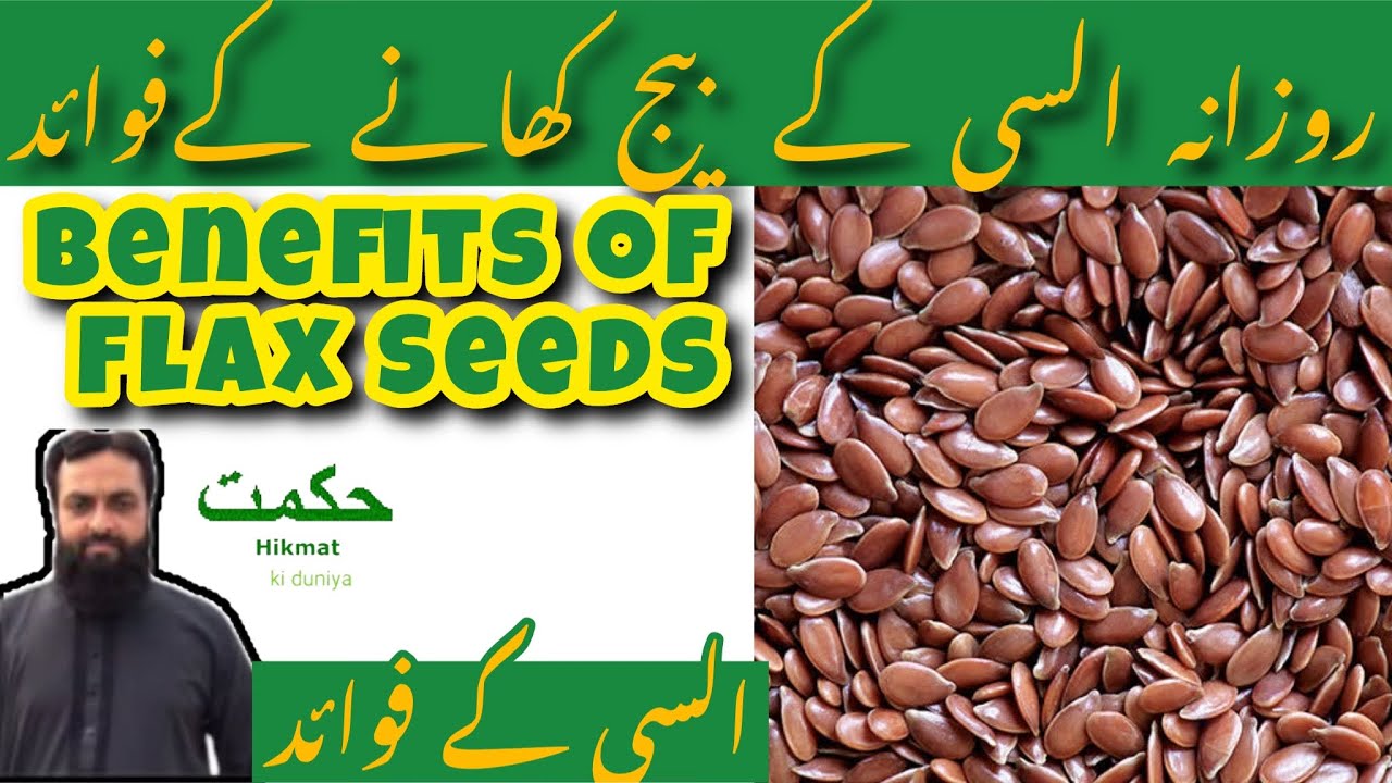 Alsi Bij Ke Fawaid || Flax Seeds Benefits || Hikmat Ki Duniya || hafiz ...