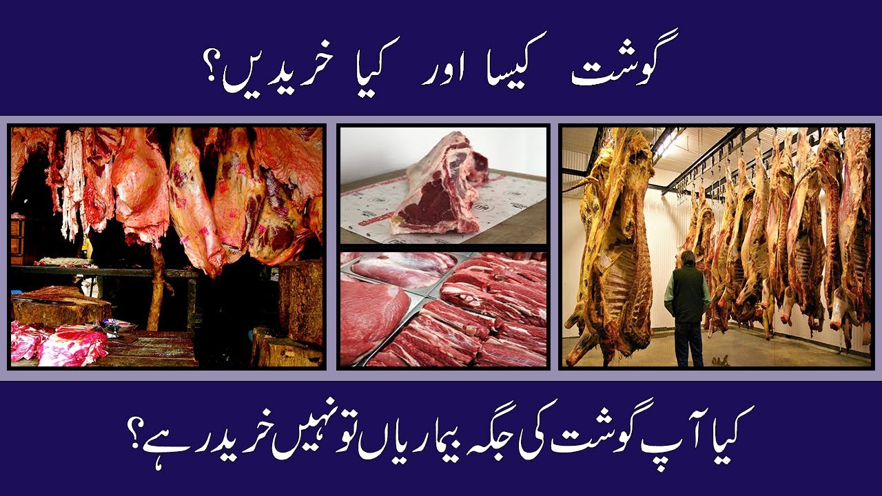 Red Cow Meat Training Institute |HAQAIQTVOFFICIAL| - YouTube