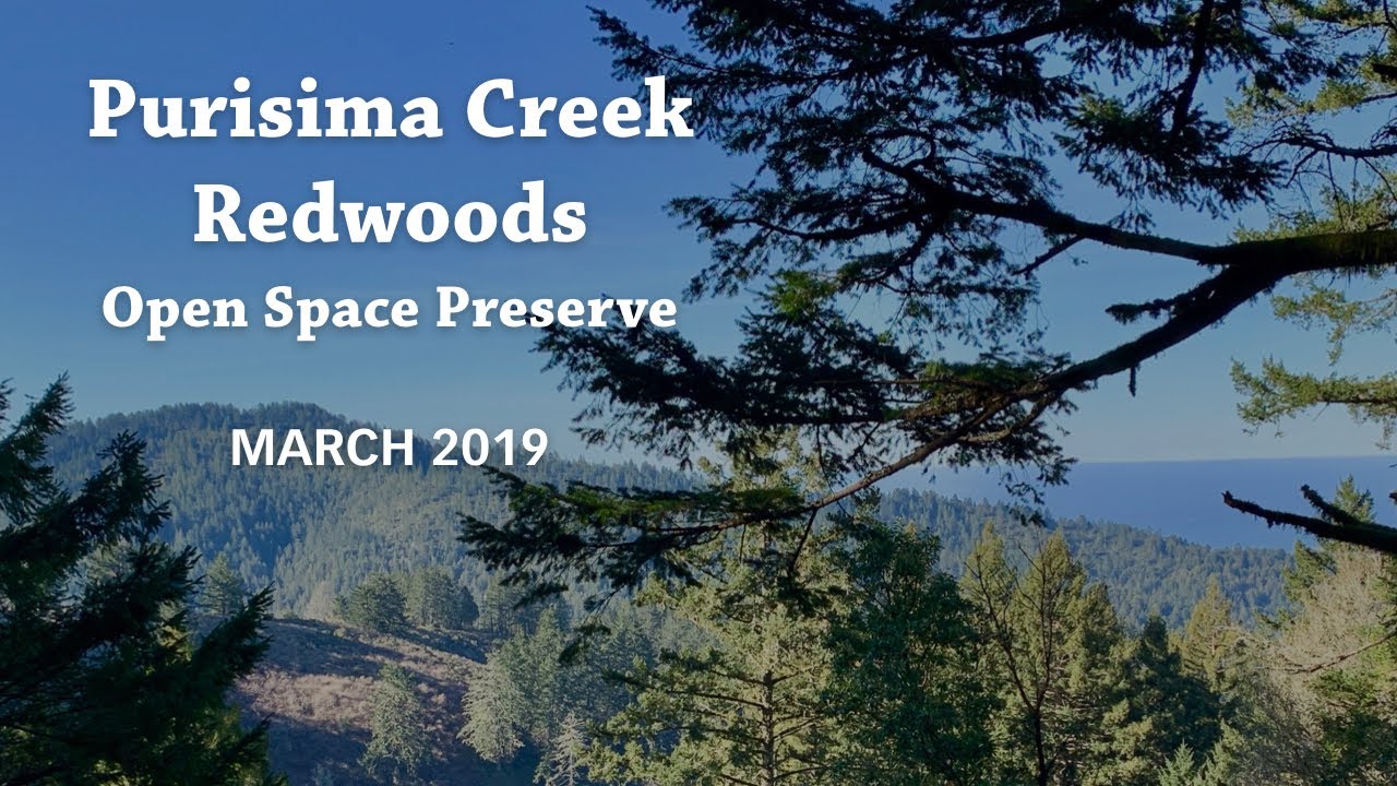 Purisima Redwoods Open Space Preserve, March 2019 - YouTube