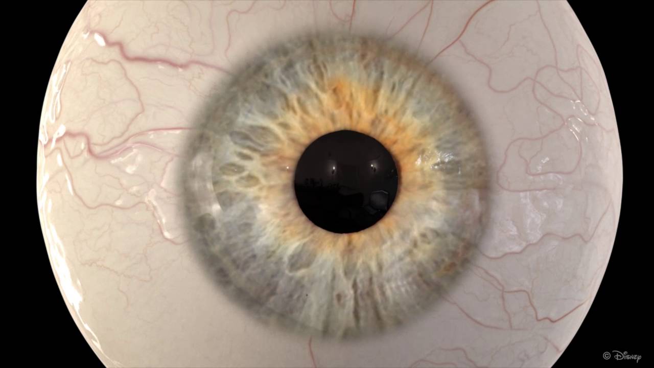 Lightweight Eye Capture Using a Parametric Model - YouTube