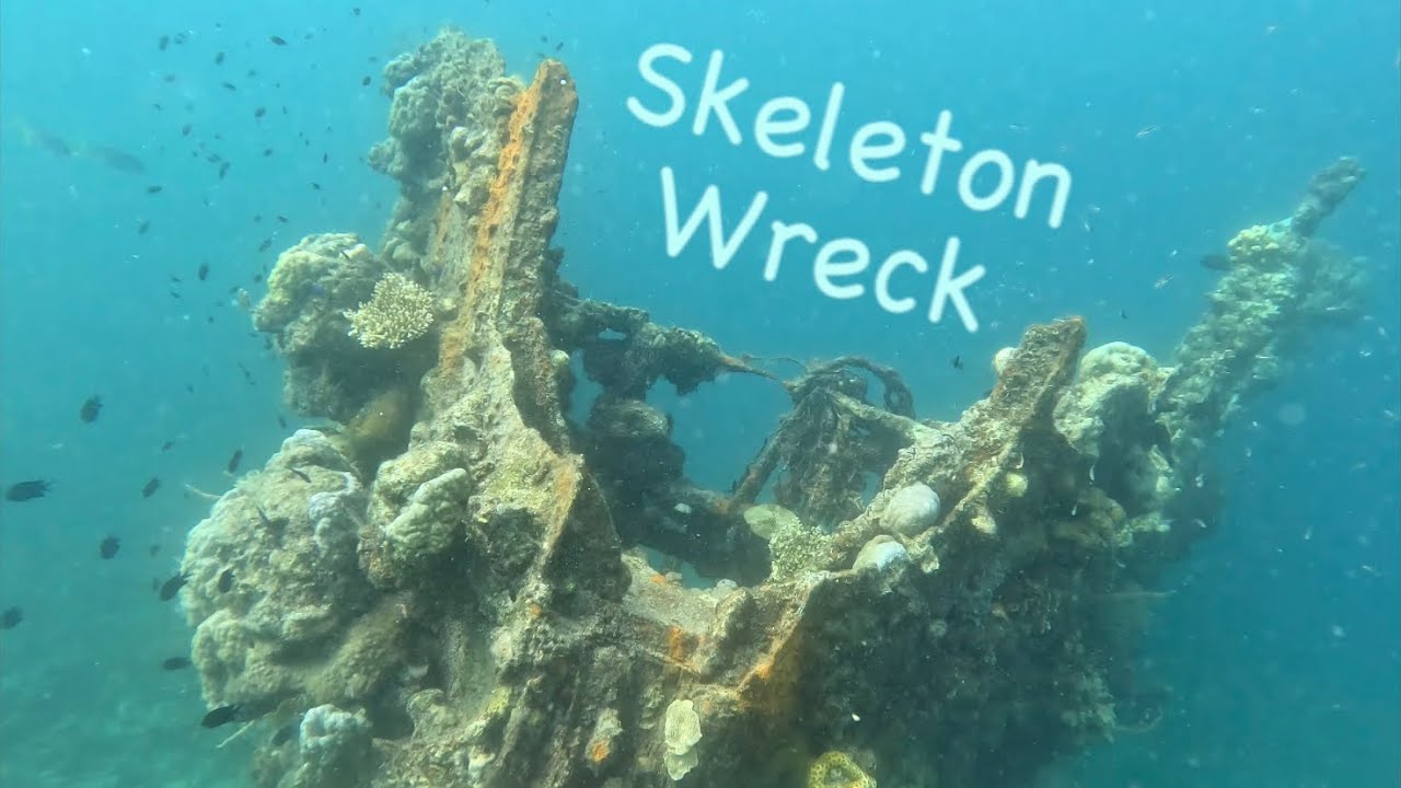 Freedive inside Skeleton Wreck Coron Palawan. Philippines Adventure Day ...