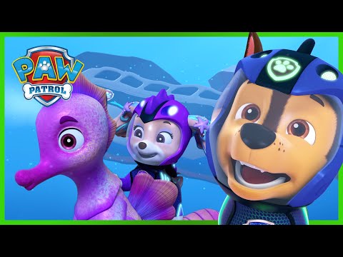Aqua Pups Save the Whale Patroller - PAW Patrol Episode - Cartoons for Kids