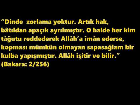 Tağut Ayetleri ve Güzel Neşid