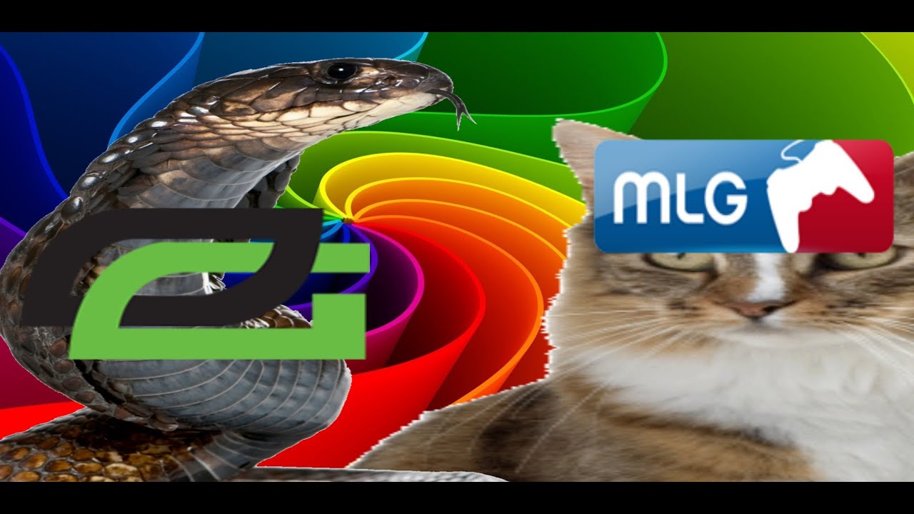 MLG cat vs. Optic Snake - YouTube