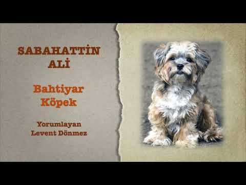 Sabahattin Ali - Bahtiyar Köpek