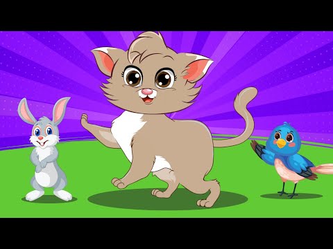 🐾 Hani Neredeymiş? | Hayvanlar Nerede? | Eğitici ve Hareketli Okul Öncesi Çocuk Şarkısı