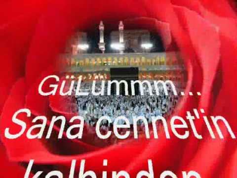 Nagihan Dönmez&Hasan Selcuk BİRDAL-Gülüm