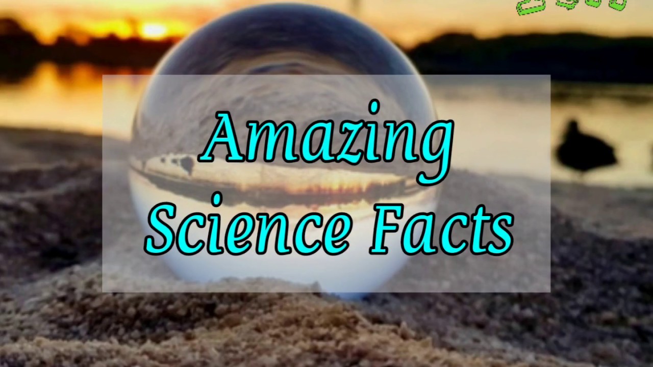 Amazing Science Facts YouTube amazing-science-facts-youtube